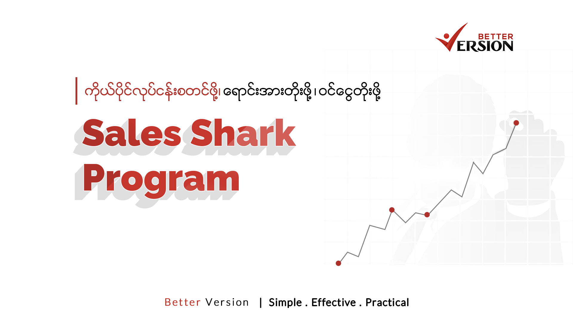 Better Version - Sales Shark Program